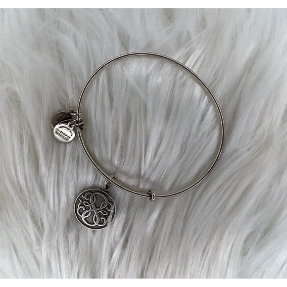 Alex and Ani | Jewelry | Alex And Ani Path Of Life Rafaelian Silver Charm Bangle Bracelet | Poshmark